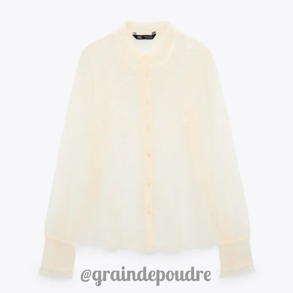 Zara | Tops | Zara Ivory Tulle Semi Sheer Polka Dot Blouse S | Poshmark